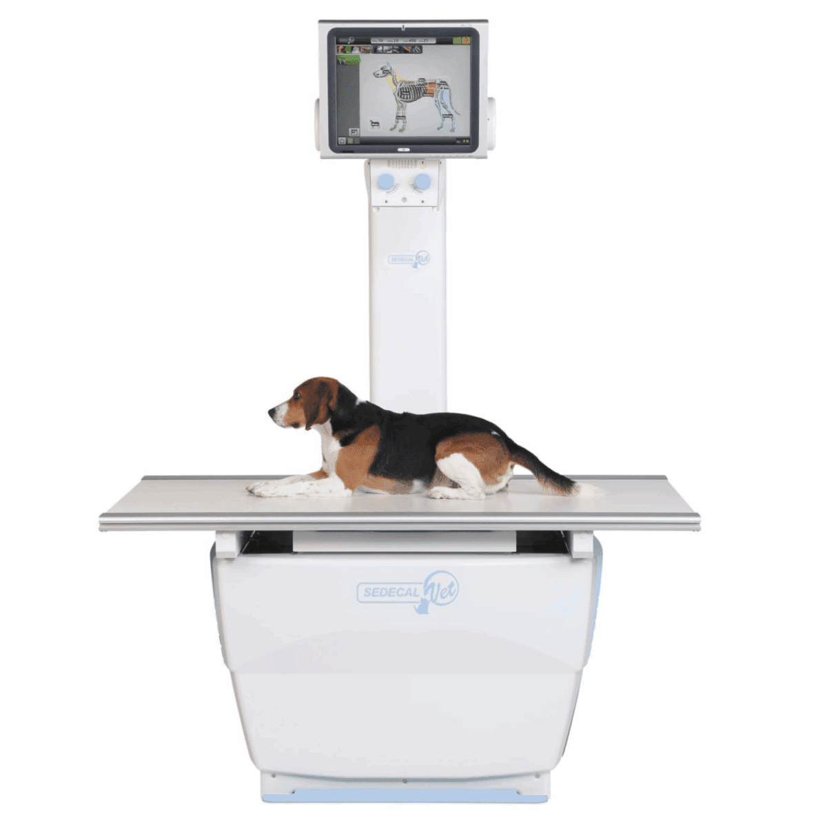 Veterinary X-ray Tables Archives - presidental